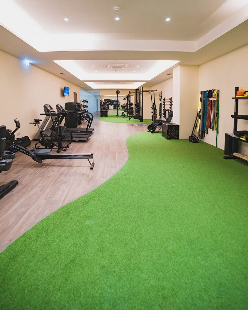 Rise Physio + - Physiotheraphy Malta Services, Rehab, Osteopathy ...